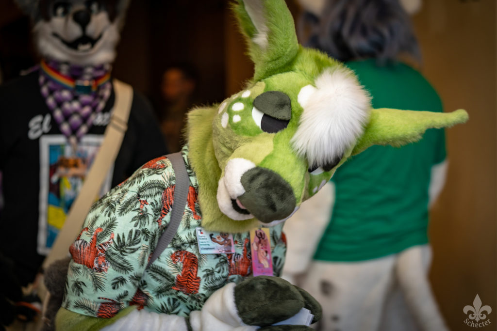 Hotel – Furry Siesta